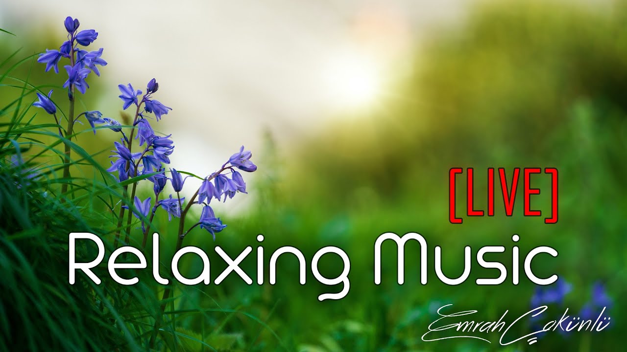 [LIVE] Relaxing Music for Sleeping, Meditation, Soothing - YouTube