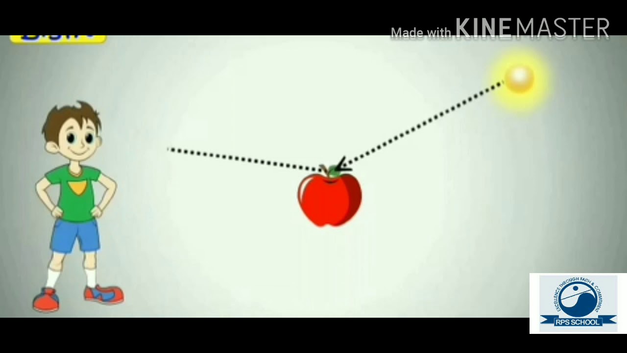 Class 6th physics light part 1 - YouTube