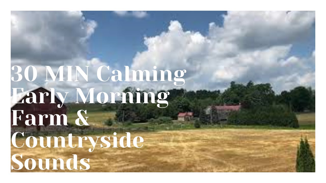30 MIN Calming Early Morning Farm Sounds | Relaxing Countryside & Farm ...