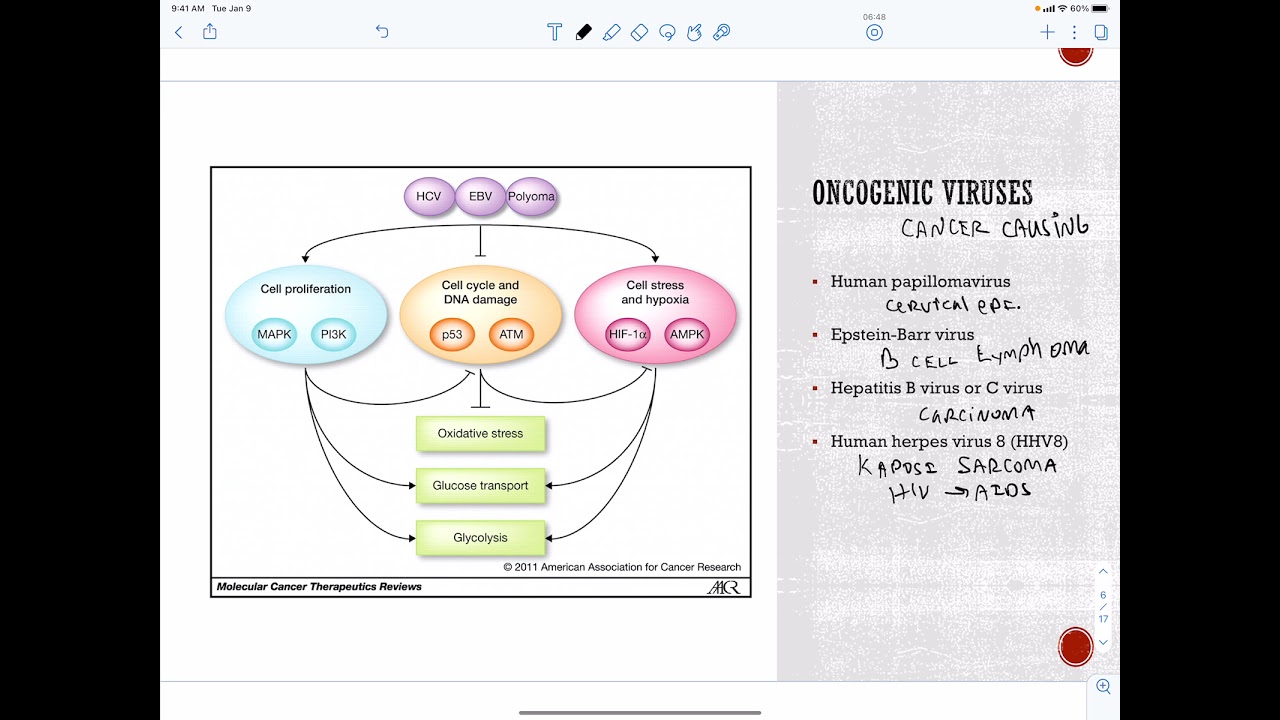 Viral Pathogenesis - YouTube