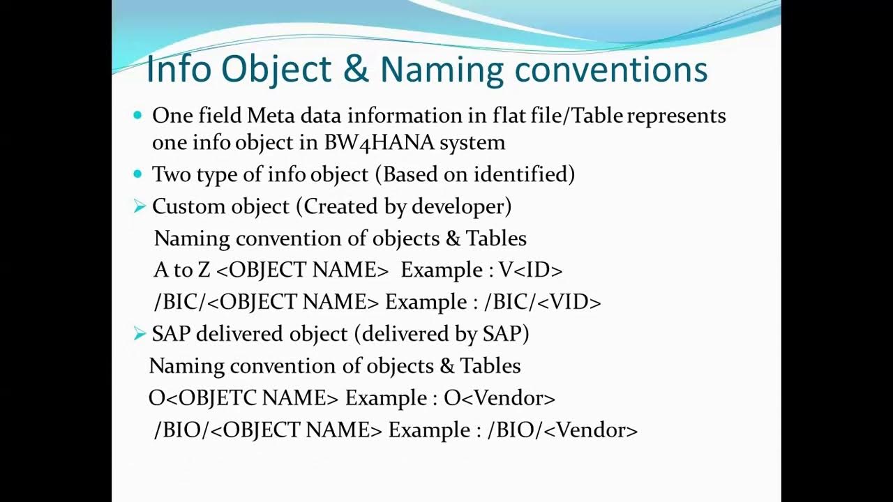 SAP-BW4HANA |Data Types & Objects & InfoObject Naming convention | - YouTube
