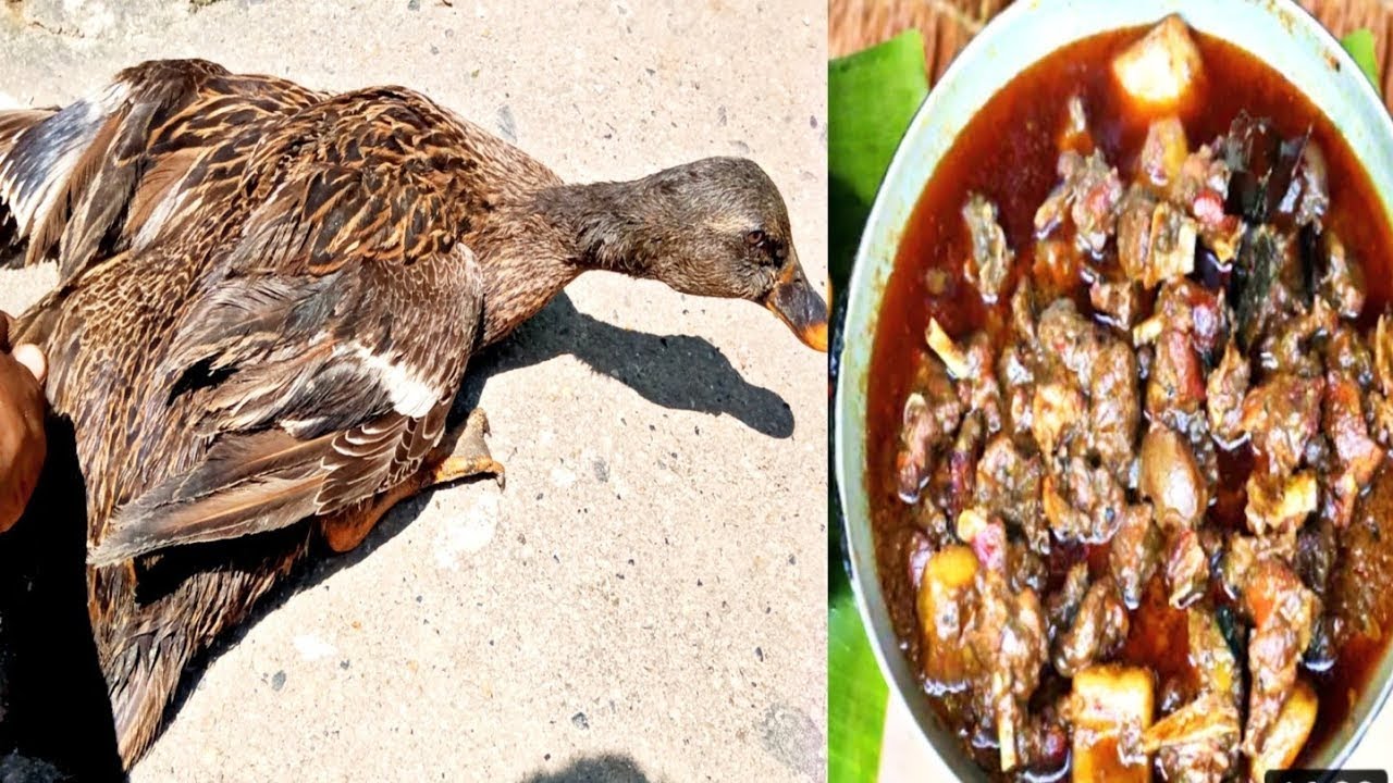 Ktm to terai Cooking duck in village style#vlog #cooking # ...