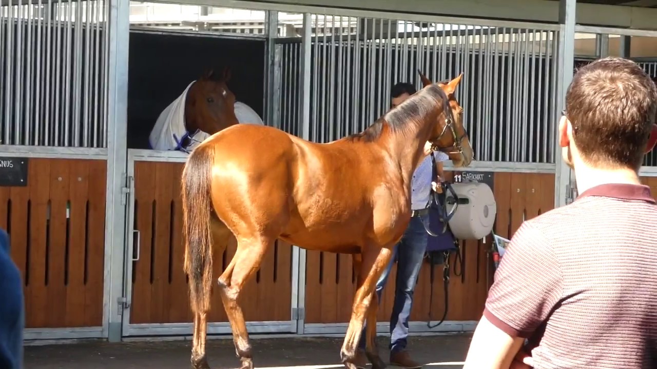 Sizzling x Hold for Ransom - YouTube