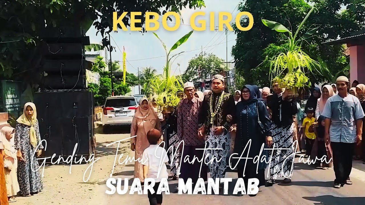 KEBO GIRO GENDING TEMU MANTEN...SUARA MANTABB - YouTube