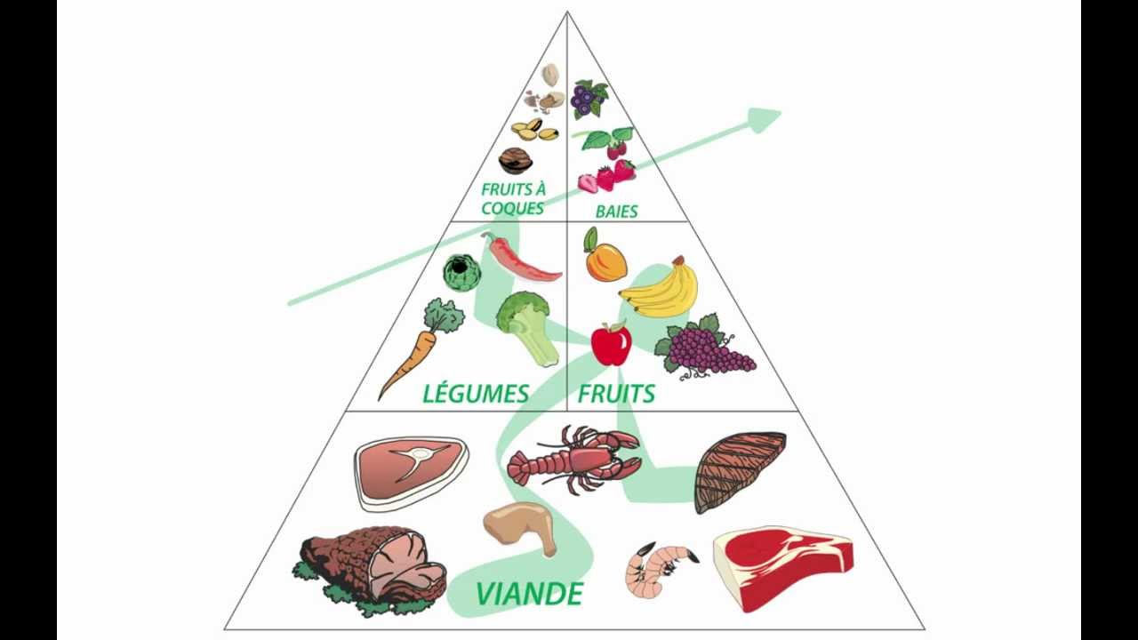 La pyramide alimentaire qui fait *prendre du poids* et celle qui fait ...