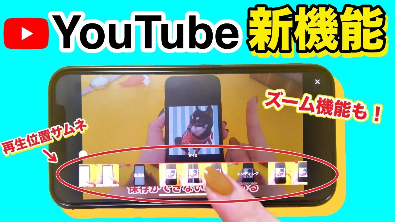 【youtube】画面の拡大やアンビエントモードなど新機能を紹介 - Youtube