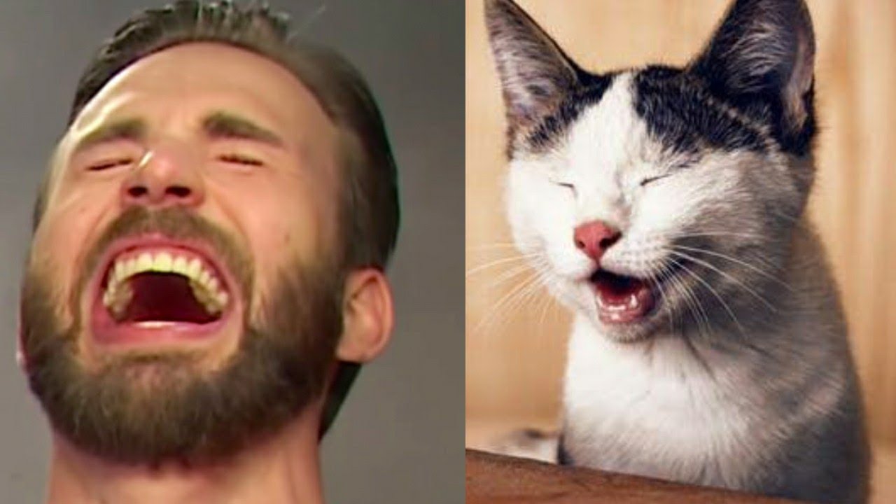 Try Not To Laugh | Compilation Fails | Funny Compilation | Compilation ...