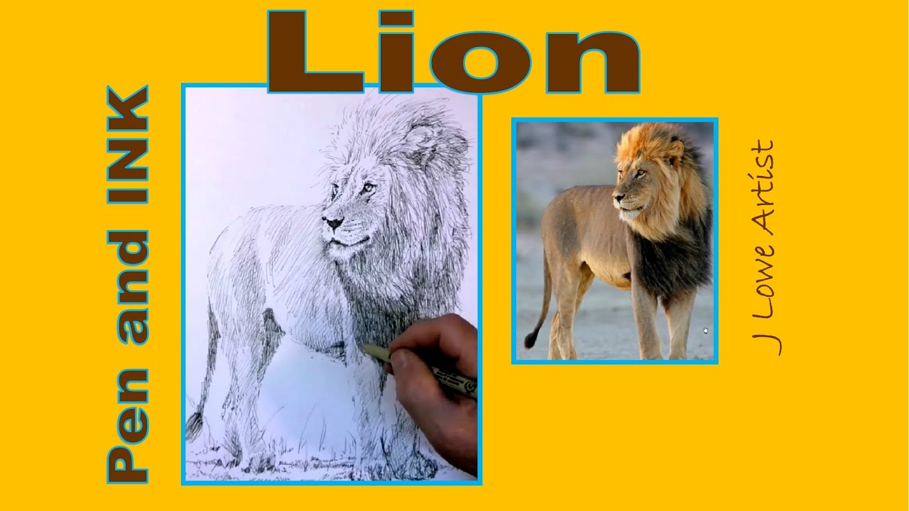 Pen and Ink Drawing Tutorial of Animals - YouTube
