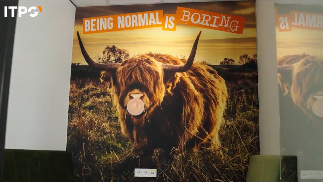 Compilatie ITPG 2024 - YouTube