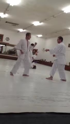 Aikido Tenshin three rivers dojo 2013 - YouTube