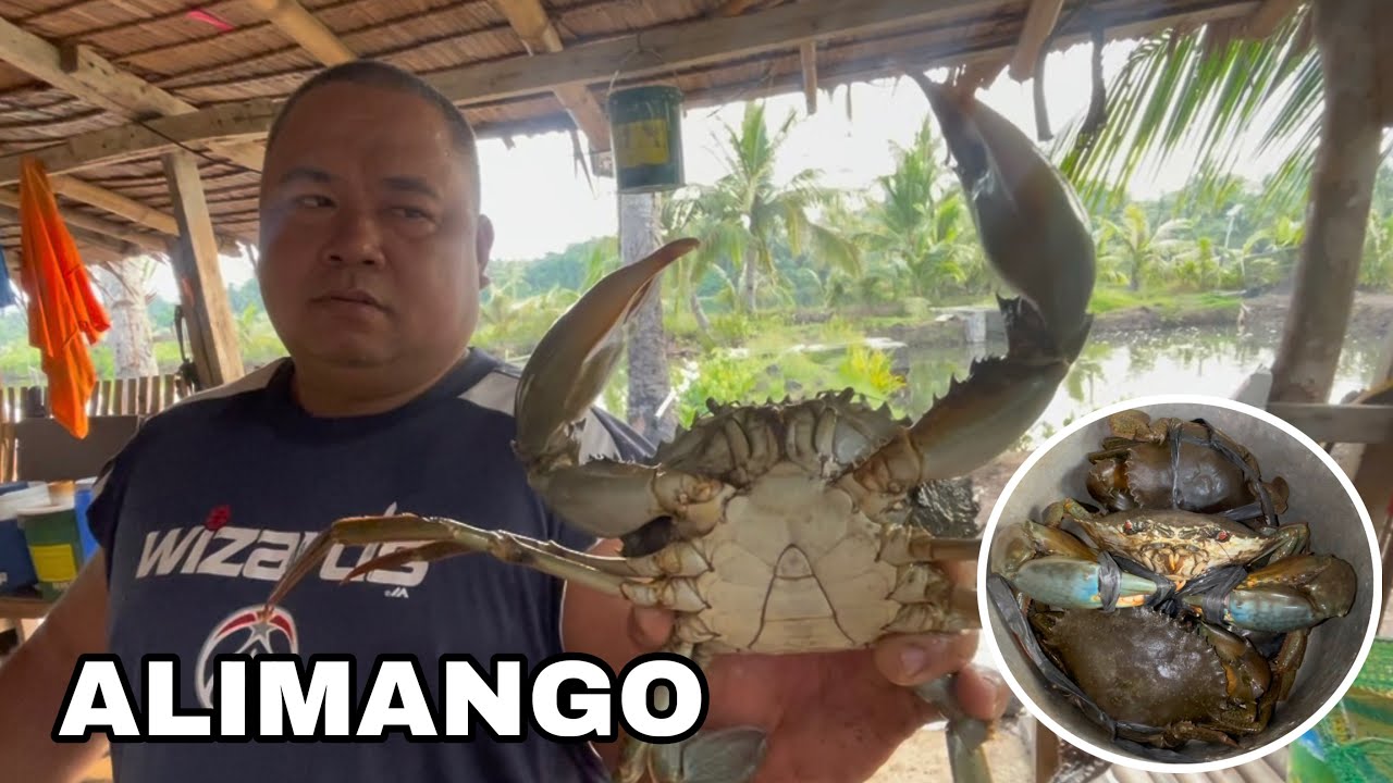 Nakahuli ng malaking Alimango + Nagtagunya kay Baby Teo - YouTube