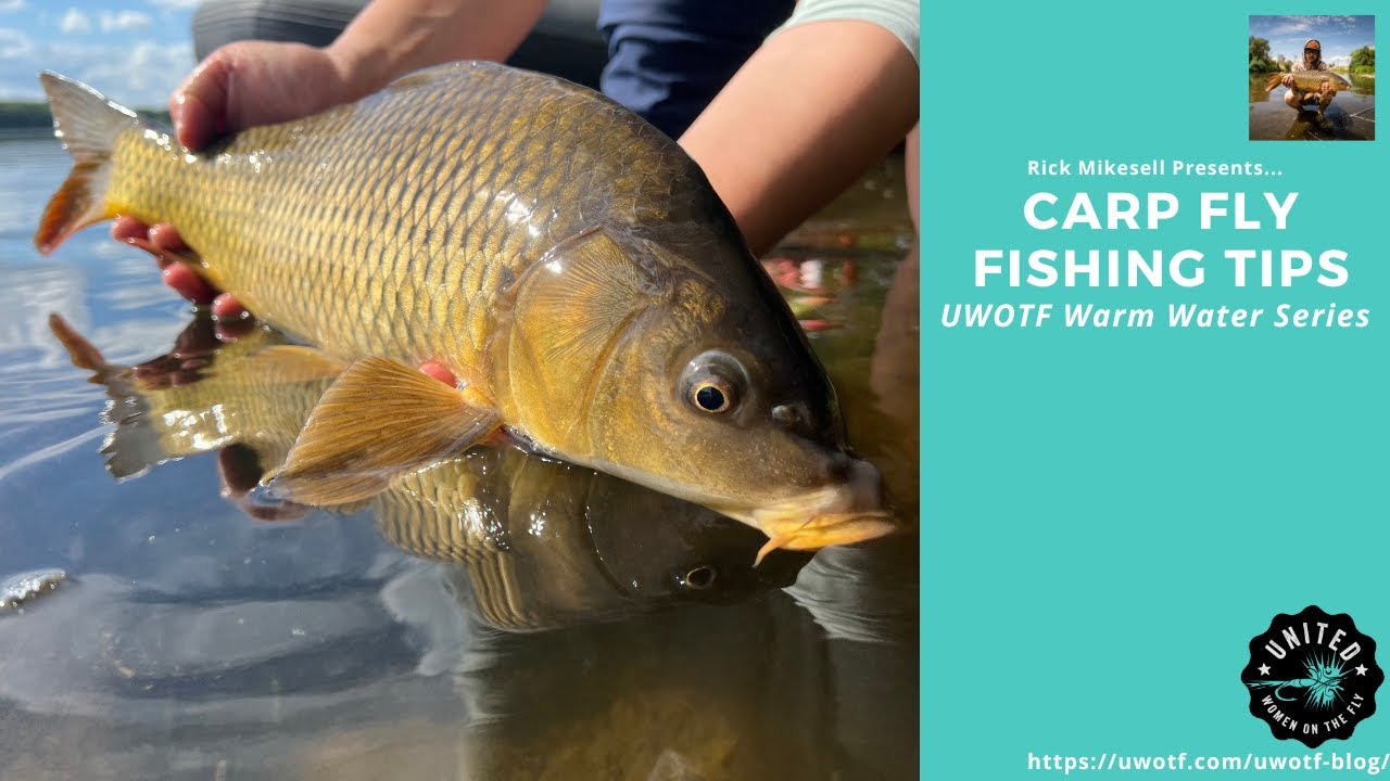 Carp on the Fly with Rick Mikesell - YouTube