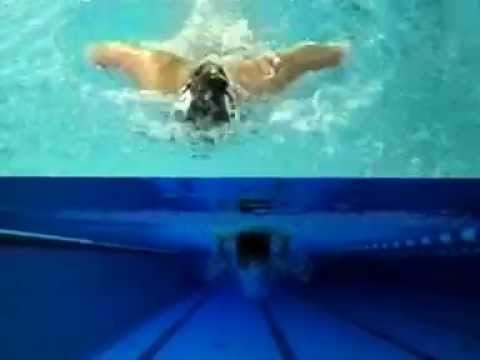 Ata Yüzme Kulübü, Yüzme Videoları, Kelebek Yüzme Tekniği, Yüzme Teknikleri
