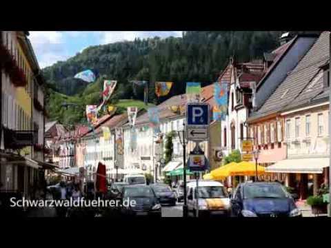 Immonet De Haus Kaufen