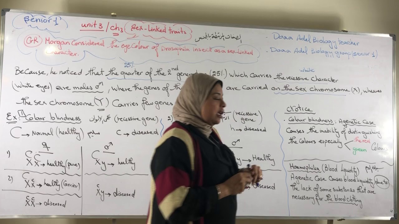 Sex Linked Traits للصف الاول الثانوى Part 2 Youtube