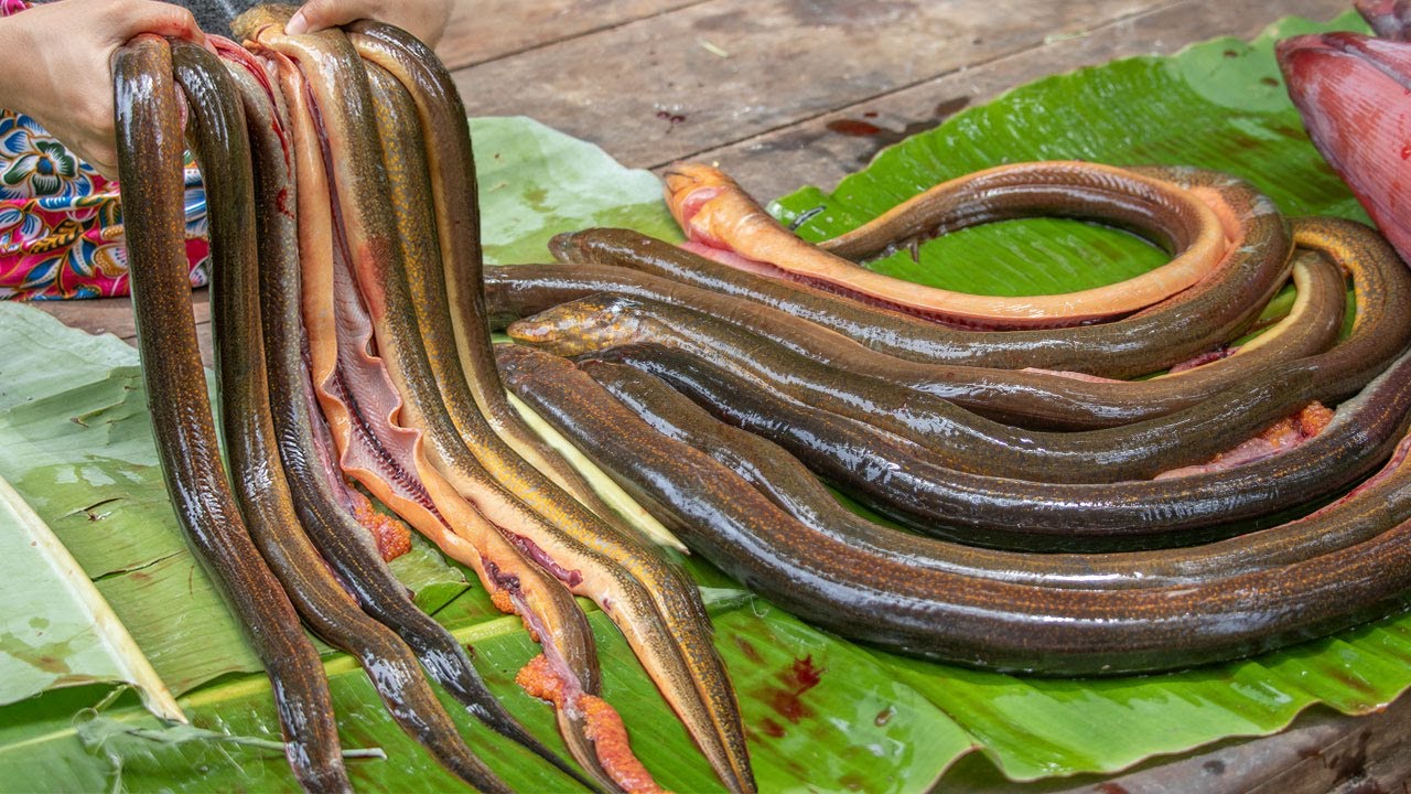 Cooking Eels Soup Recipe With Banana Flower Eating Eels So Delicious ...