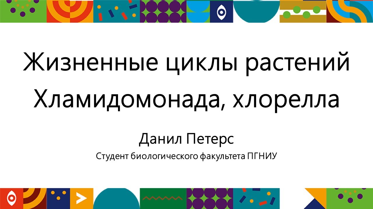 Жизненные циклы растений Открытый университет Youtube