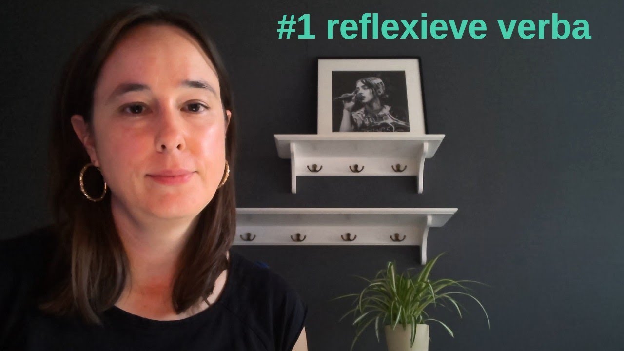 zakelijk Nederlands B2/C1 -reflexieve werkwoorden (reflexive verbs) # ...