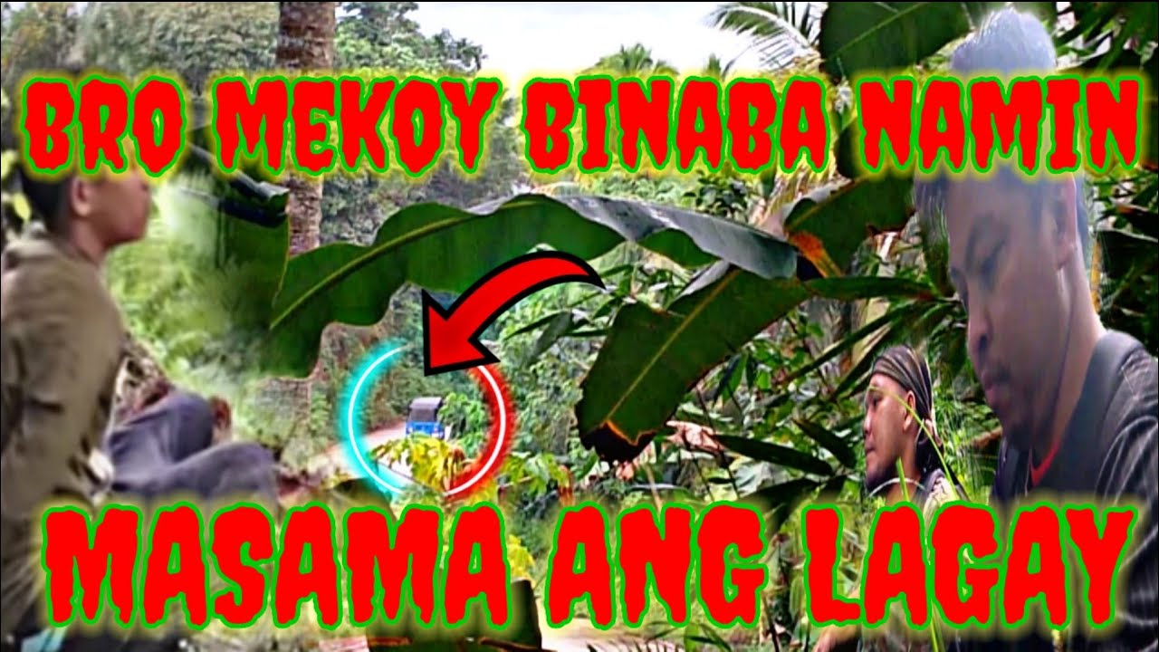 MEKOY MASAMA ANG KALAGAYAN, KAILANGAN IBABA, #intense #survival # ...