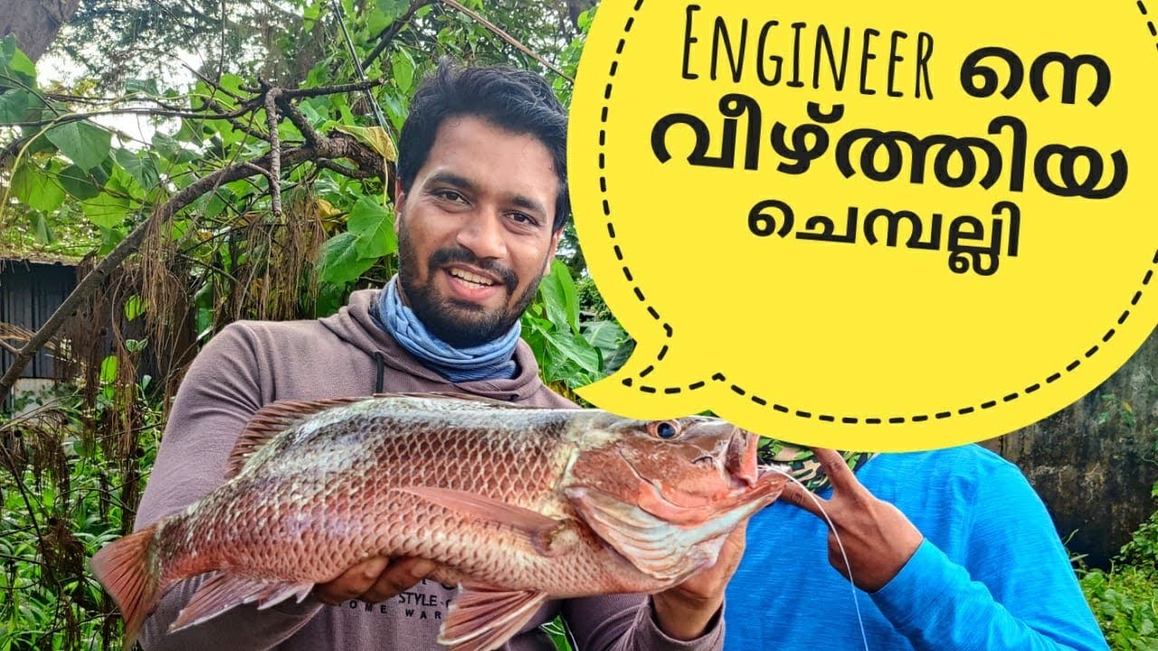 എഞ്ചിനീയർ നെ വീഴ്ത്തിയ ചെമ്പല്ലി😜|Chemballi fishing and cooking ...