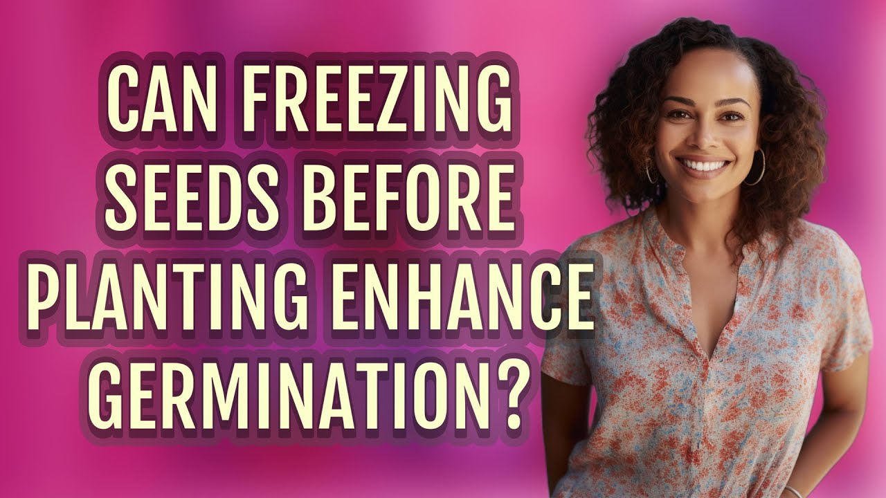 Can freezing seeds before planting enhance germination? - YouTube