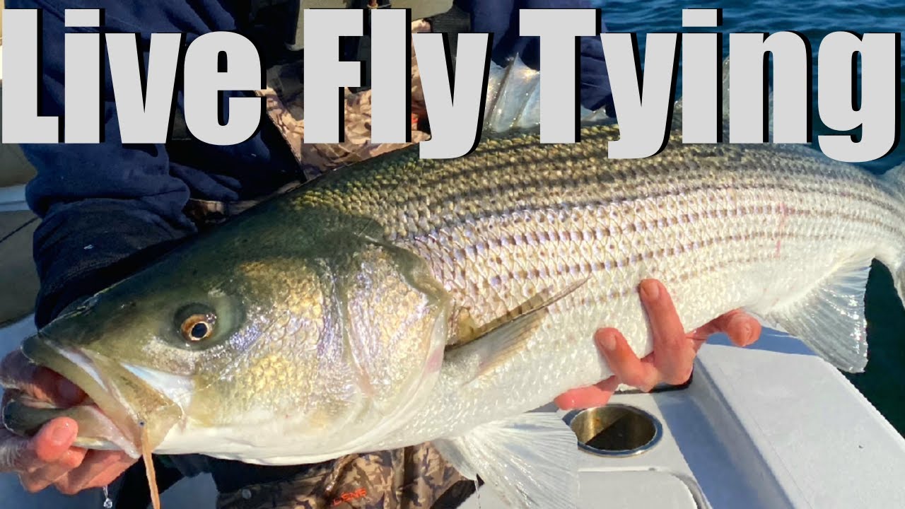 Tying Hollow Fleyes For Striped Bass, New Hollow Fleye Video is live ...