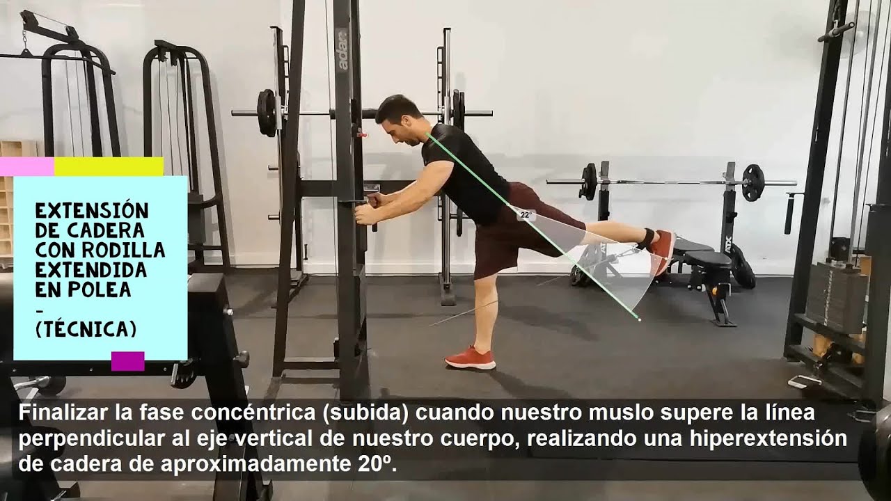 Extensión de cadera con rodilla extendida en polea (Técnica y ...