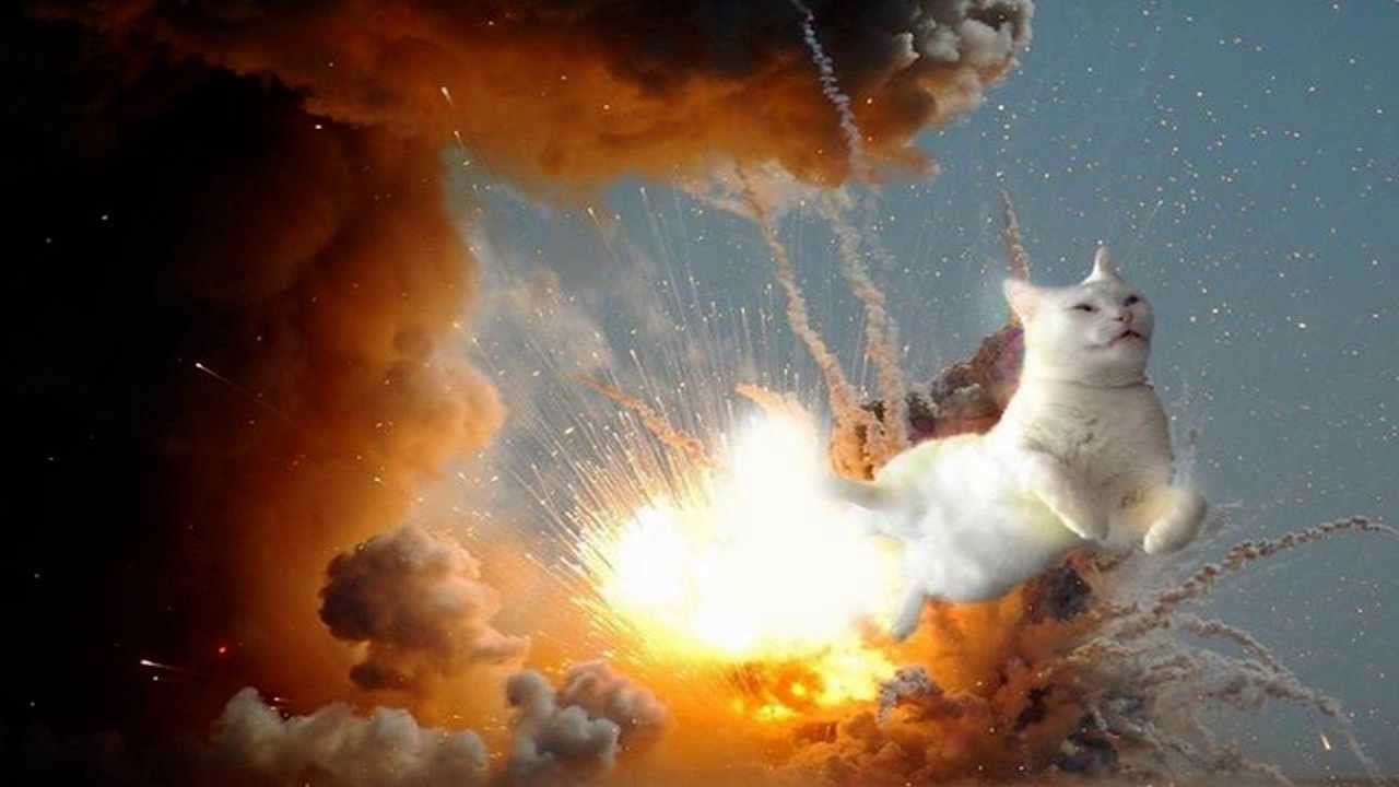 Hovercat to base - YouTube