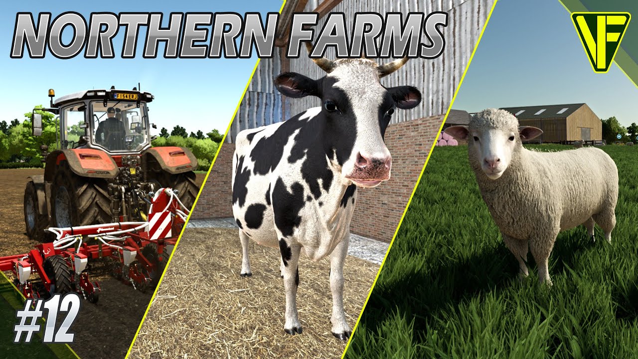 Time For Carrots, Cows & Sheep | Northern Farms | FS22 Start From ...