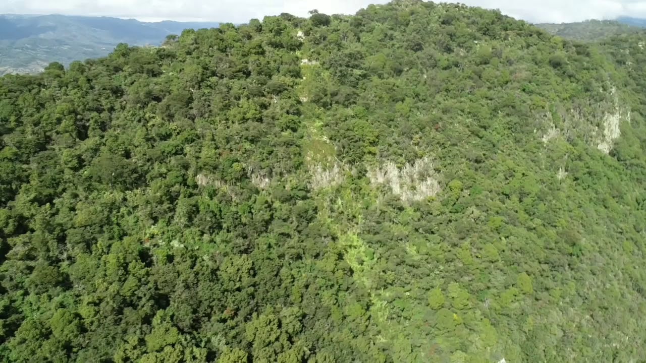 MEYUCA DE MORELOS 2018 - YouTube