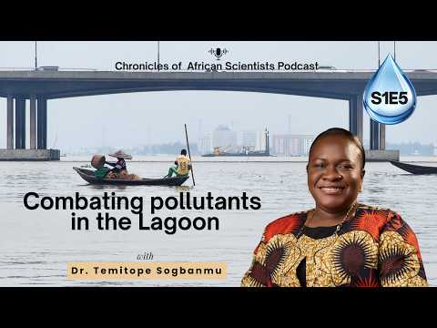 A scientist's quest to turn environmental research into policy in Nigeria || Dr. Temitope Sogbanmu