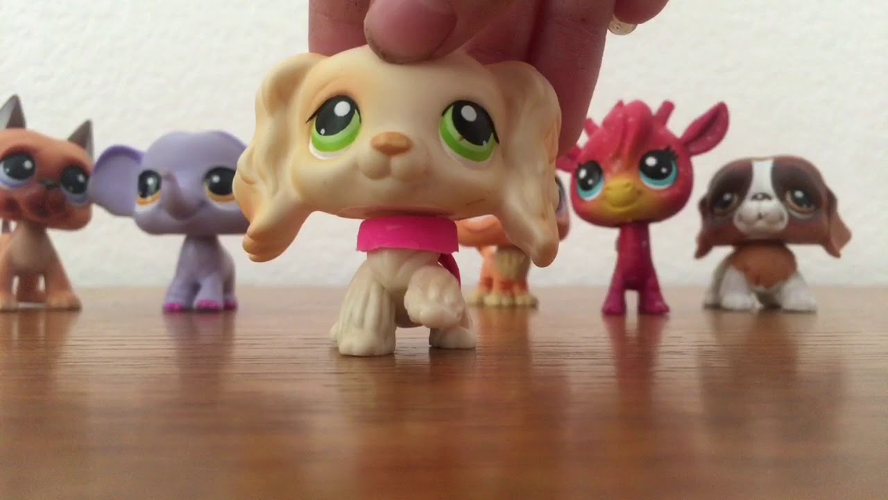 Lps circus mv - YouTube