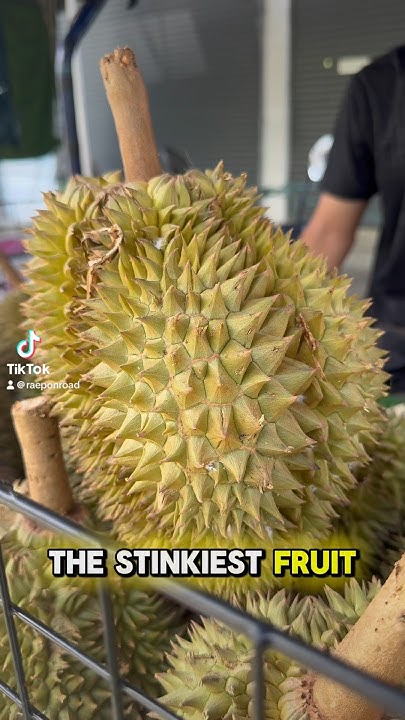 THIS IS THE STINKIEST FRUIT IN THE WORLD 😷 Would you try Durian? #fruit ...