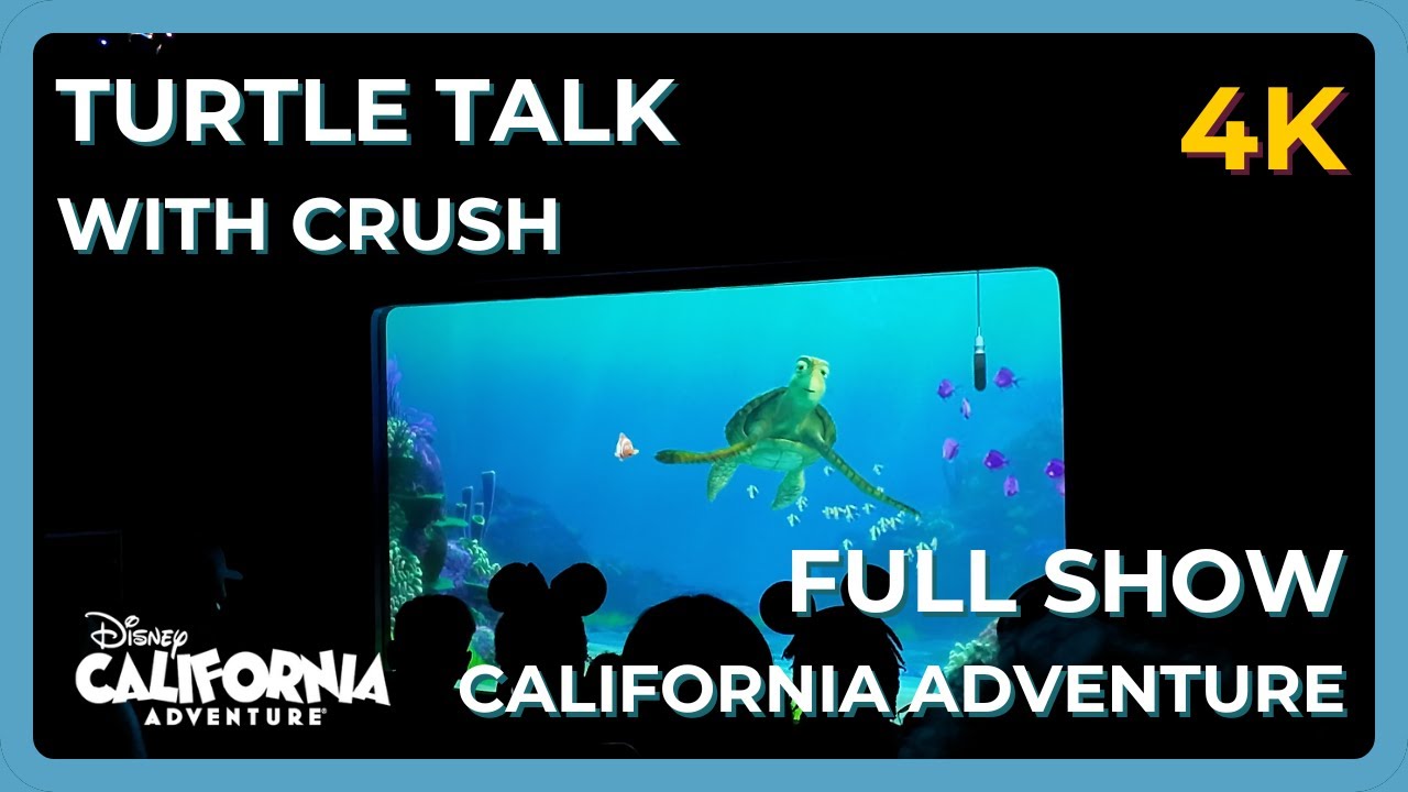 TURTLE TALK WITH CRUSH (4K) | Hollywood Land | Disney California ...