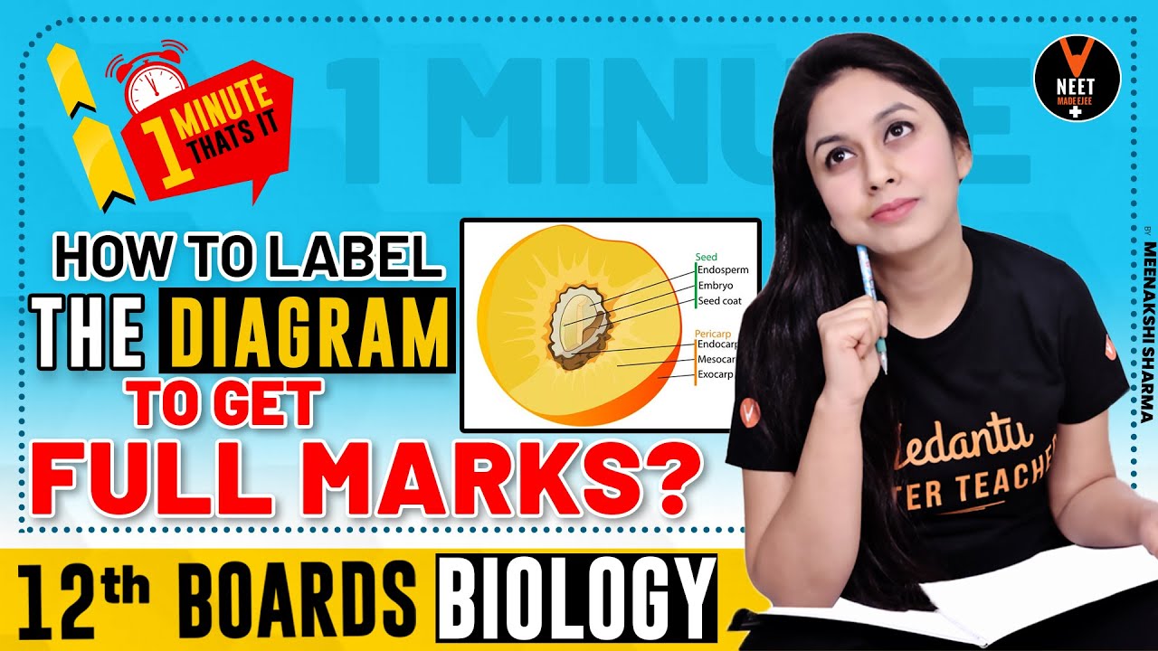 How To Label The Biology Diagram To Get Full Marks? | Class 12 Board ...