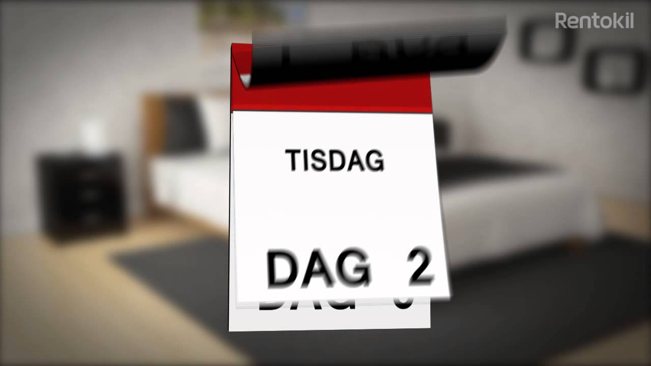 Värmebehandling mot vägglöss med "Entotherm" - YouTube