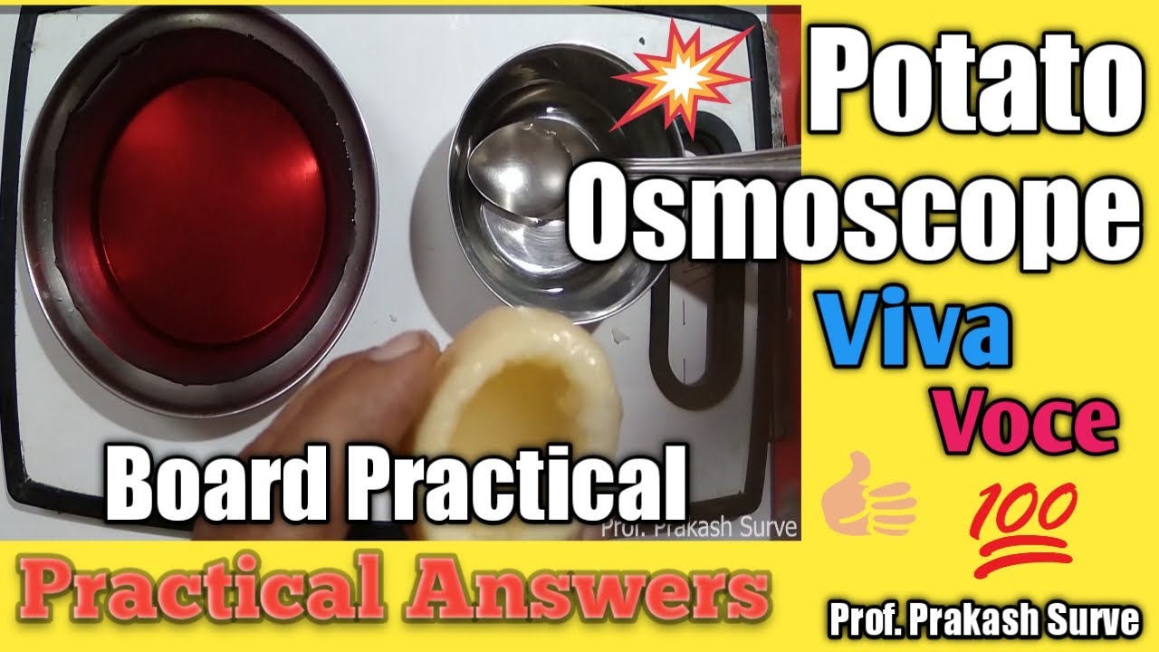 How to write answers in Practical book - Potato Osmoscope - Viva voce for HSC Board Practicals ...