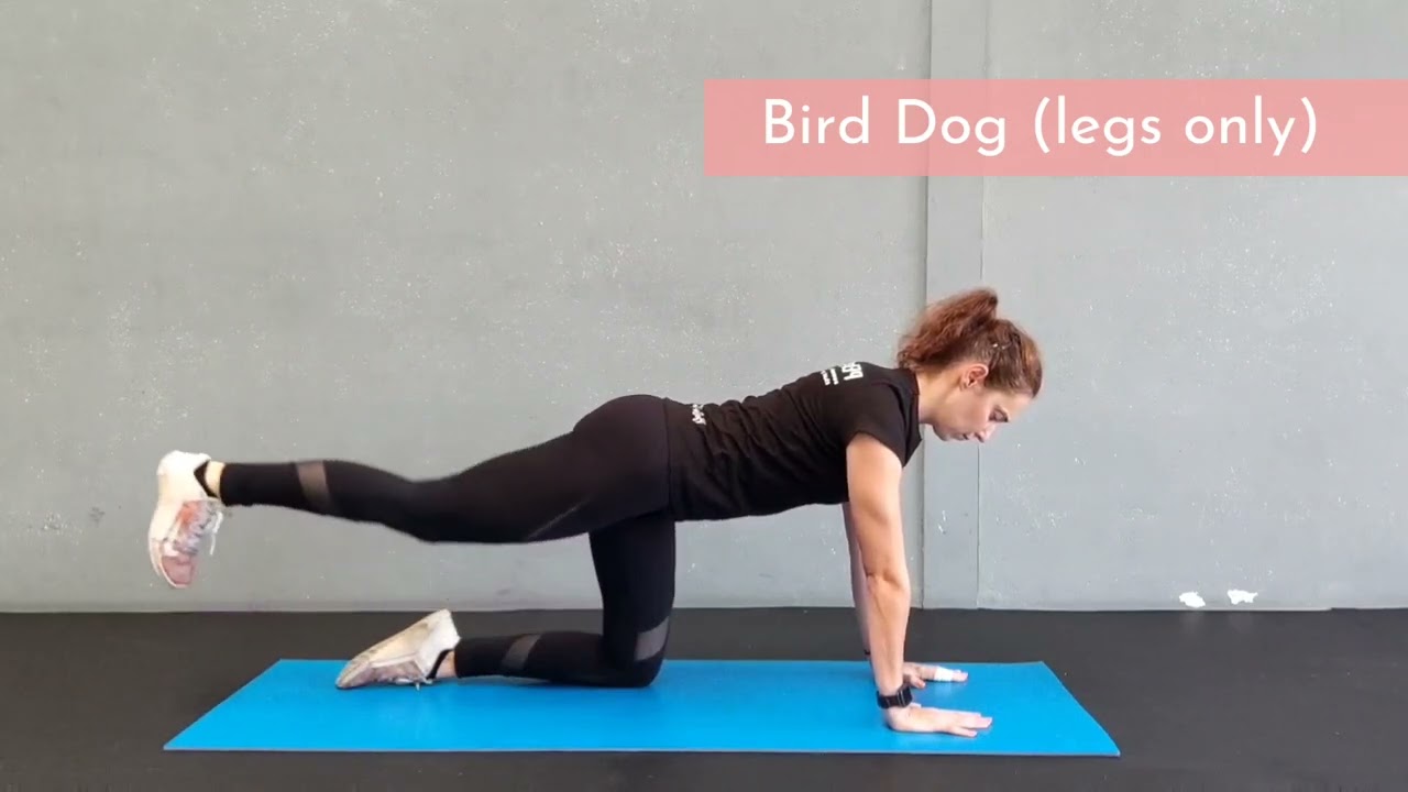 Bird Dog (legs only) - YouTube