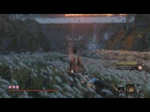 Sekiro SDT Prosthetic Arm Combo / Styling on Isshin, Sword Saint NO ...