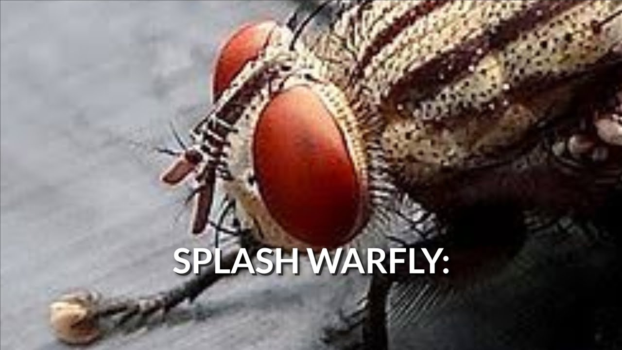 Megaman X7 - Axl Vs Splash Warfly In Real Life - YouTube