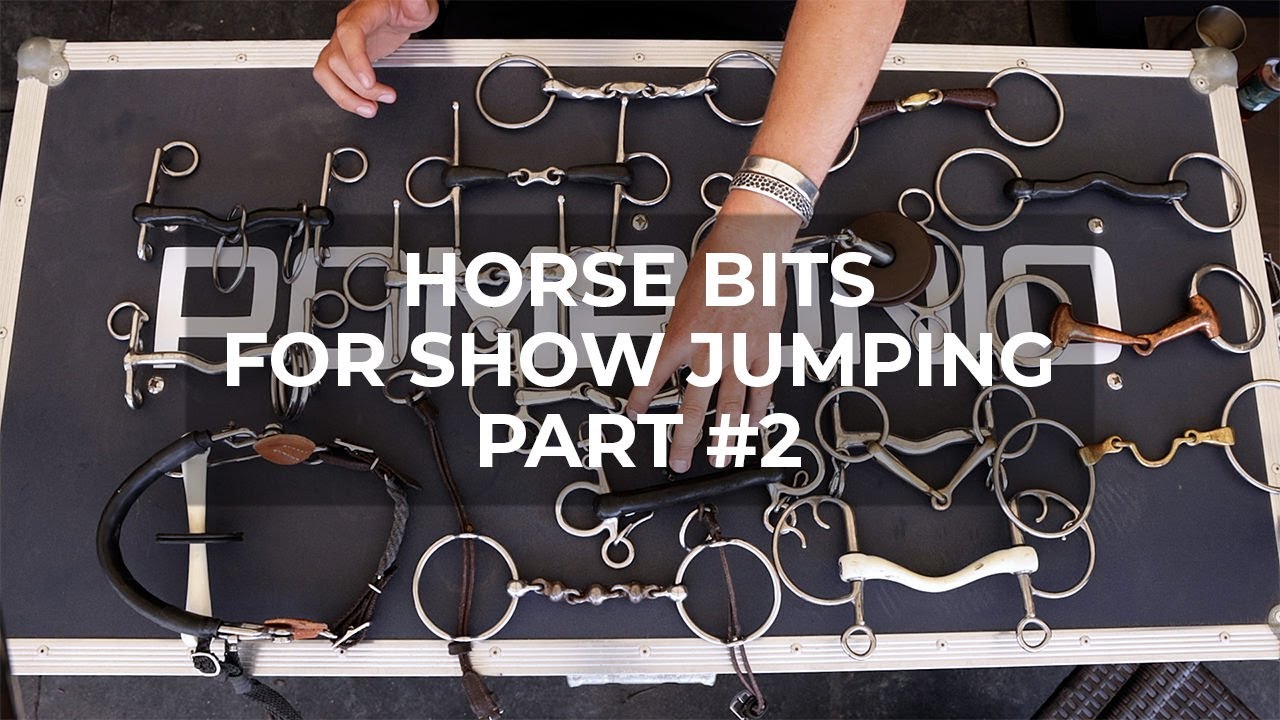 Horse Bits for Show Jumping Part 2 - Understanding Bit Varieties - YouTube