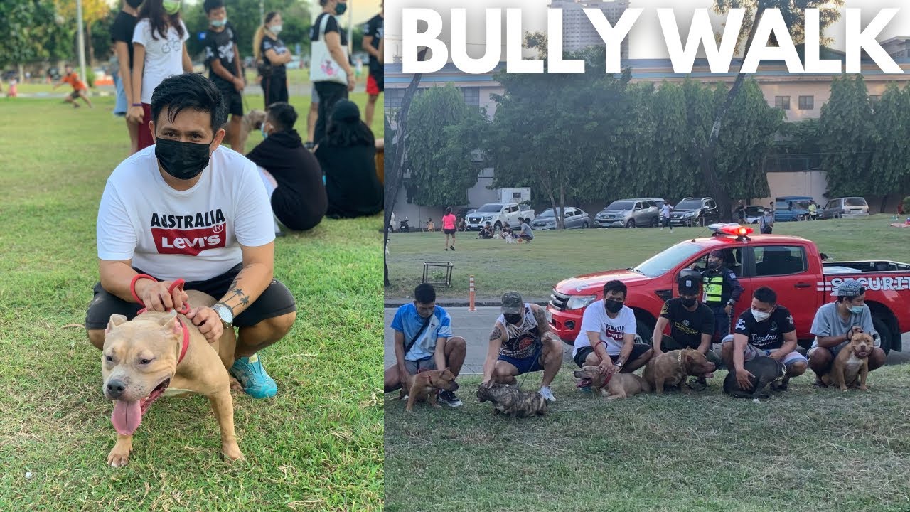 Bully Walk | Vlog #90 (July 25, 2021) - YouTube