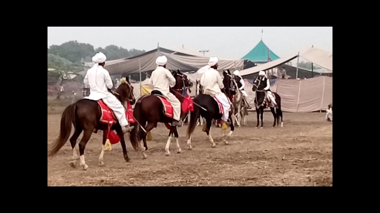 Neza Bazi | Horse Mela | Mela 2022 | Ghora Dance 2022 New - YouTube
