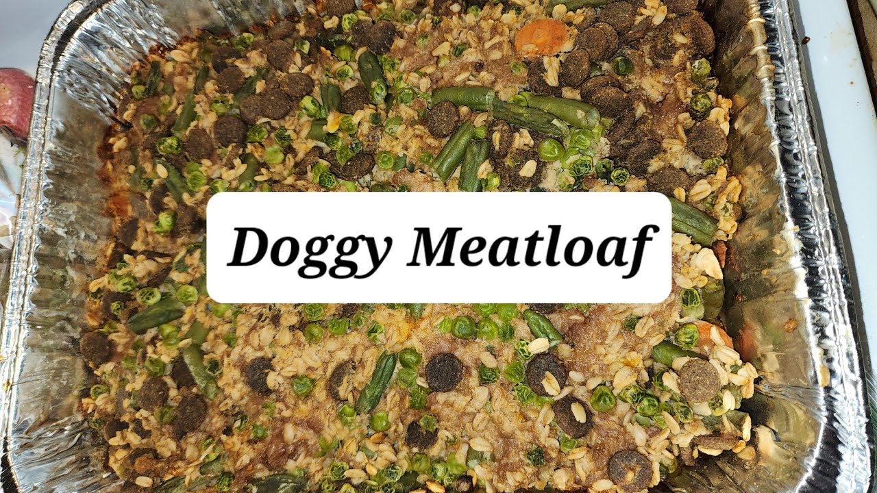 Doggy Meatloaf/ homemade dog food - YouTube