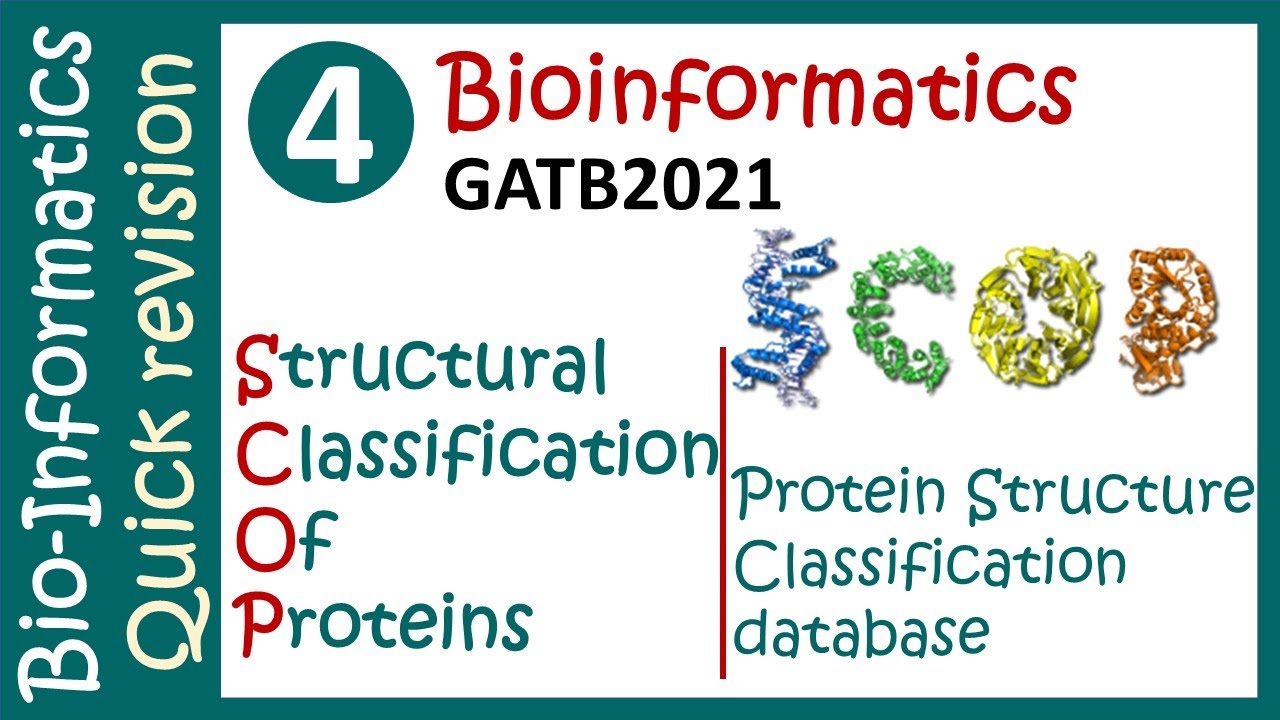 SCOP| Structural Classification of Proteins | What is scope database ...