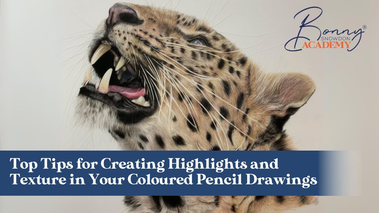 Top Tips for Creating Highlights and Texture in Your Coloured Pencil ...