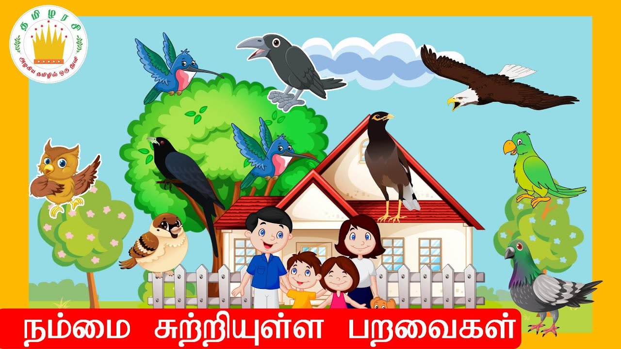 பறவைகள் | Learn Tamil Birds Name video for Kids and Children|Tamilarasi ...