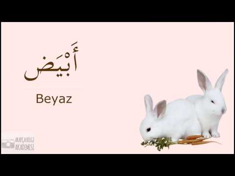 Arapça Renkler - Arabic Colors -  الألوان للاطفال باللغة العربية