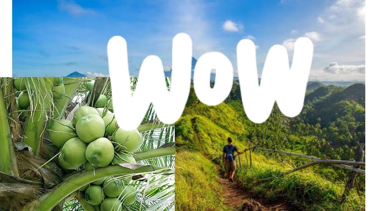 KINABUHI SA BUKID | 2020 Newest Video - YouTube