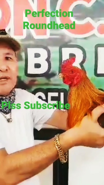 Perfection Roundhead From Mt.Banahaw Ramon Montierro - YouTube